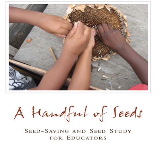How to Join the Seed-Sharing Movement – Mother Earth News